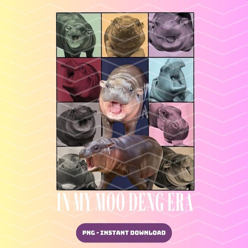 Moodeng Hippo the Eras Tour Png, Baby Hippo Khao Kheow Open Zoo Png ...