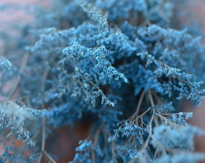 Bunch of Preserved Medium Blue Misty, Blue Caspia, Blue Wedding, Blue ...