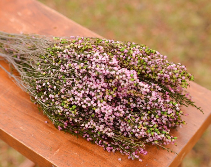 Bunch of Preserved Pink Heather Pink Heather Pink Wedding - Etsy