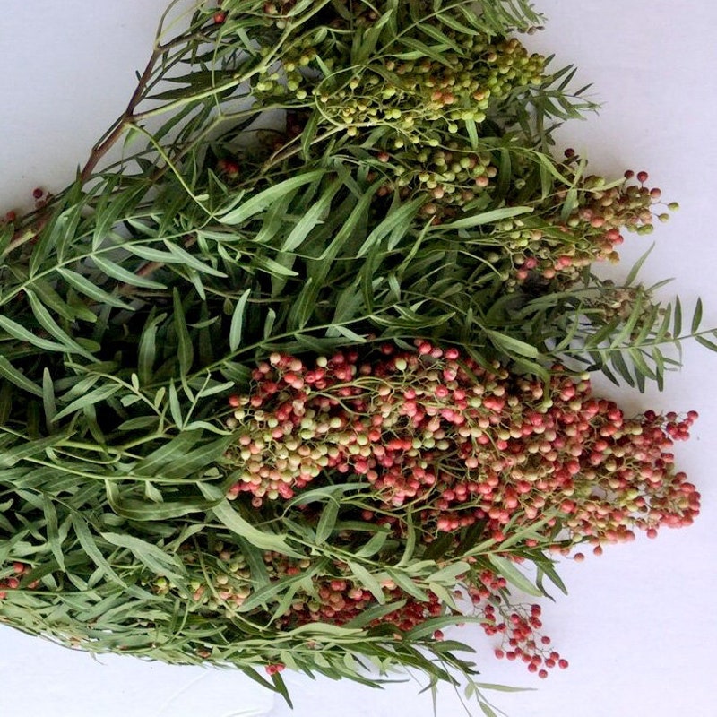 Berry Branches - Etsy