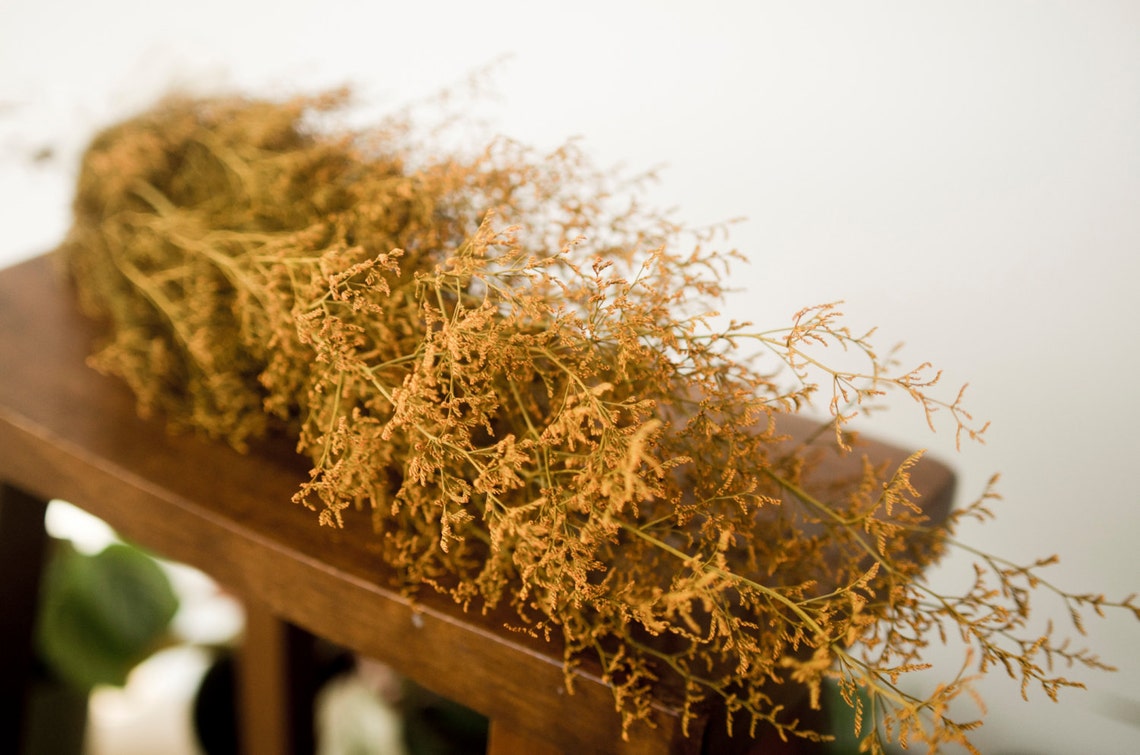 Bunch of Preserved Gold Misty Gold Caspia Mustard Yellow | Etsy