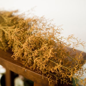 Bunch of Preserved Gold Misty, Gold Caspia, Mustard Yellow Misty, Fall ...