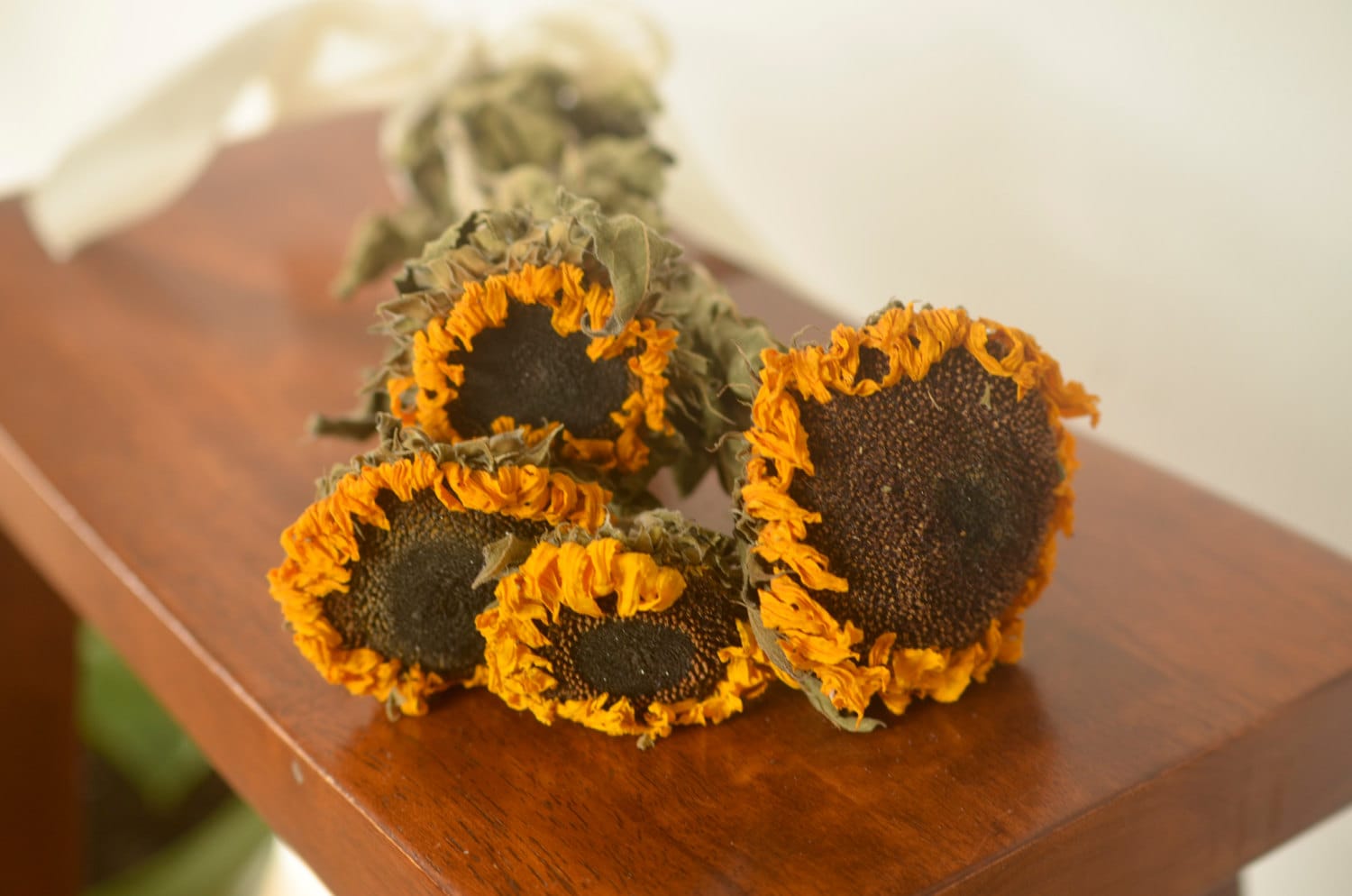 Dried Sunflowers dried sunflower sunflower dried sunflower | Etsy