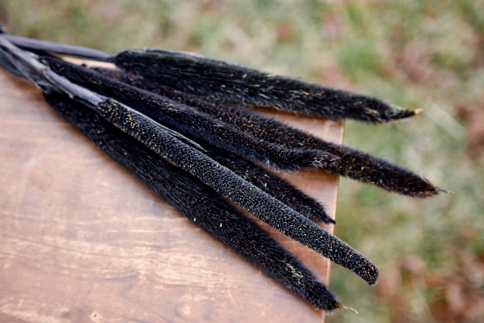 Dried Purple Majesty Millet: Fall Floral Arrangement (26-28" Long) - Etsy