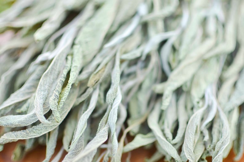 Dried sage bunch sage dried herbs fragrant dried sage | Etsy