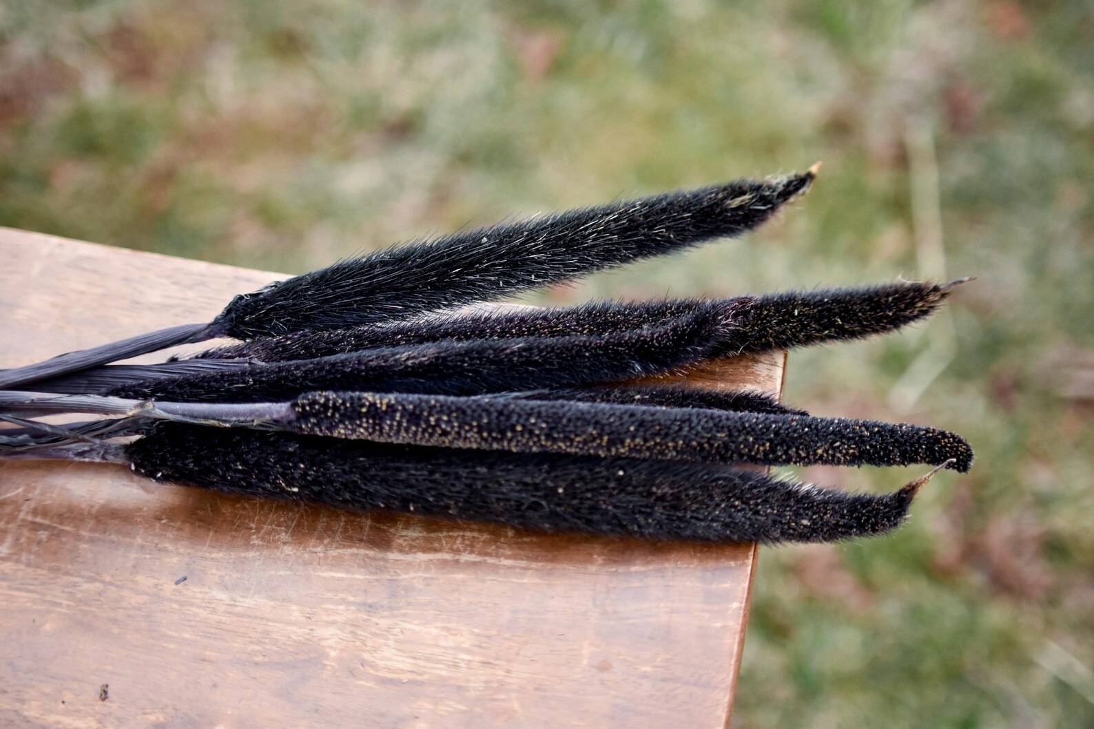 Dried Purple Majesty Millet: Fall Floral Arrangement (26-28" Long) - Etsy