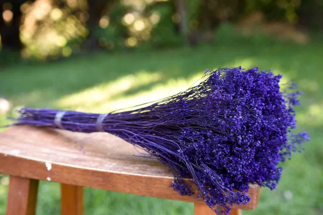 Purple Dried Broom Bloom: Wedding Flower Filler - Etsy