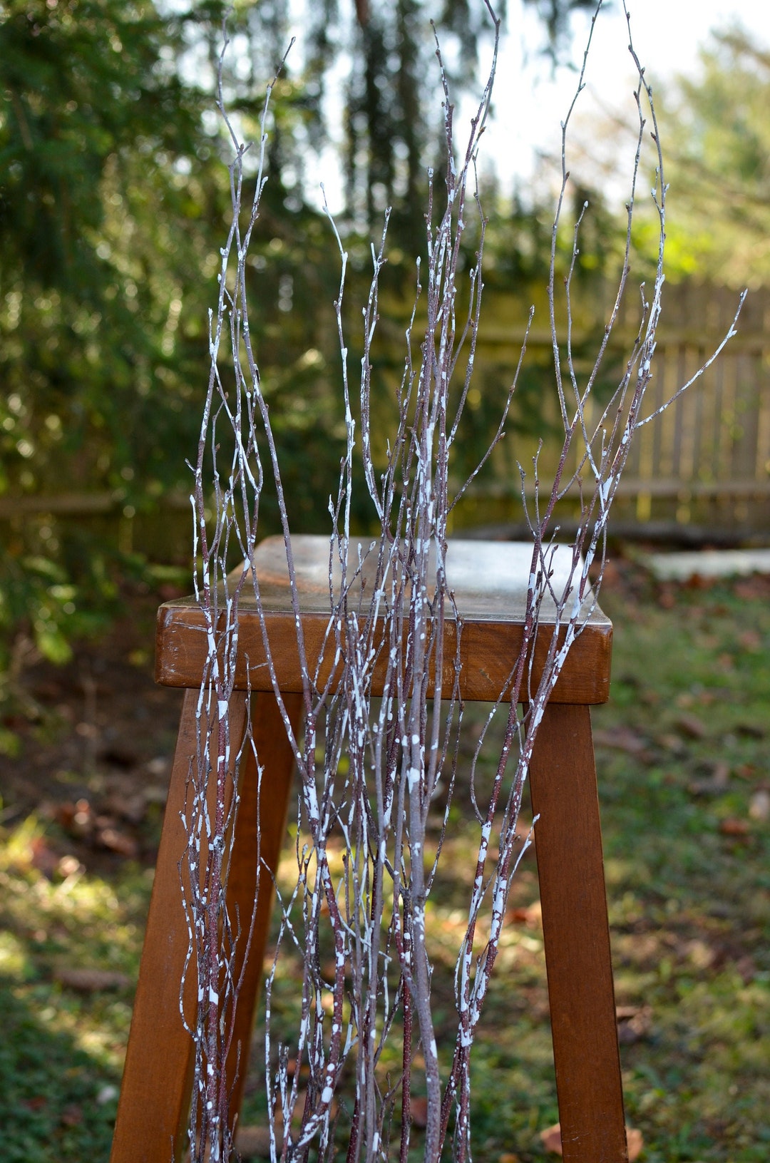 Birch Branches, Woody Stems, Birch Bundles, Twigs, Twig Bunch - Etsy