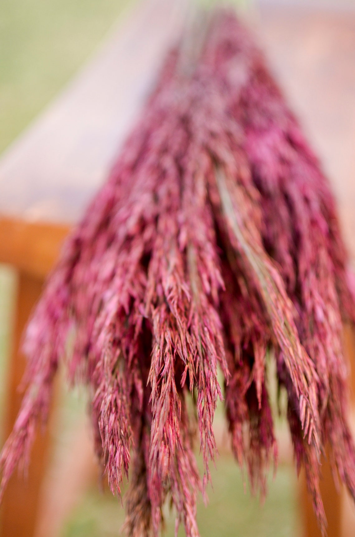 Preserved Merlot Plume Reed Preserved Red Grass Preserved - Etsy