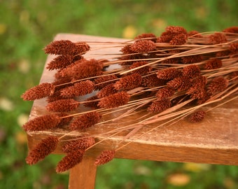 Christmas Greenery Stems With Gold Bells - Etsy