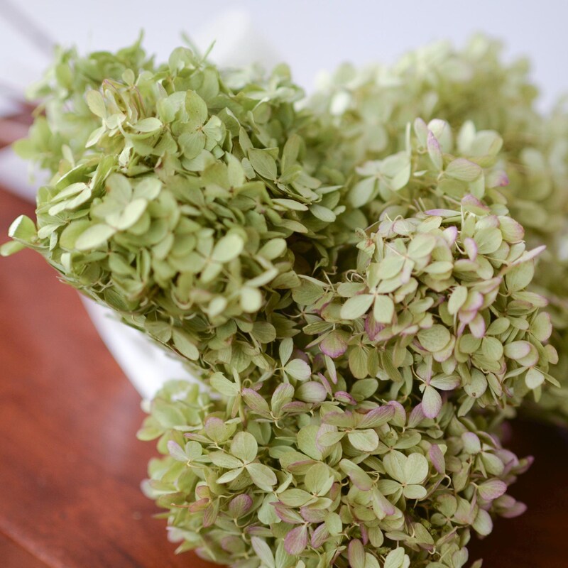 Dried Look Hydrangeas - Etsy