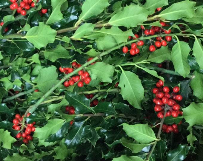 Holly & Jolly Cutting Board - Etsy