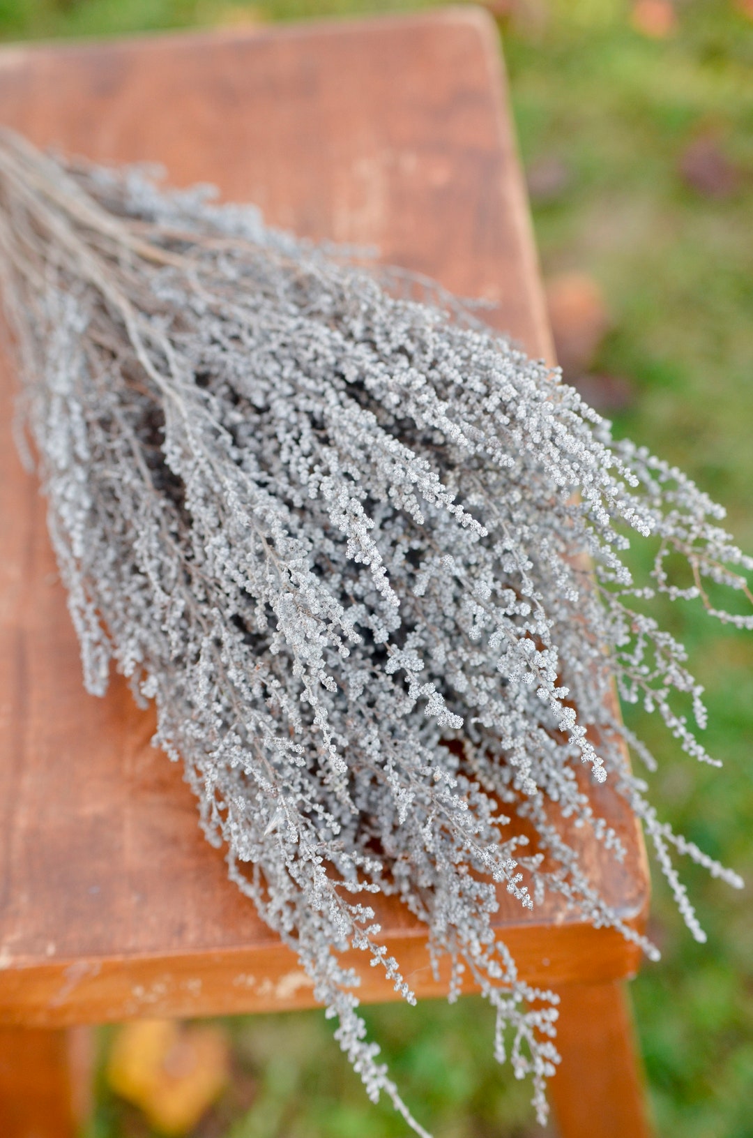 Preserved Silver Gray Stoebe Bunch: Wedding Bouquet Filler - Etsy