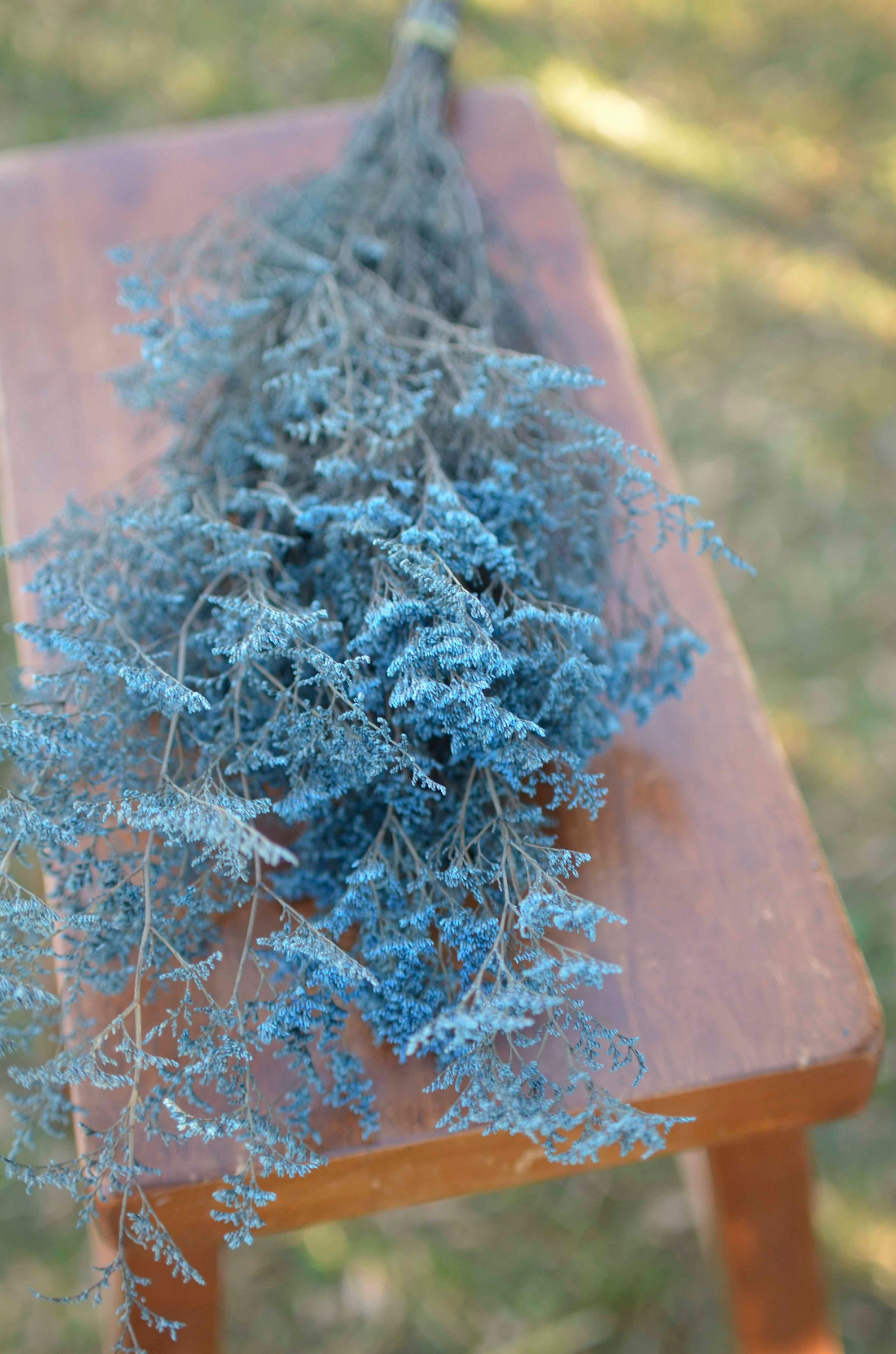 Bunch of Preserved Medium Blue Misty Blue Caspia Blue - Etsy UK