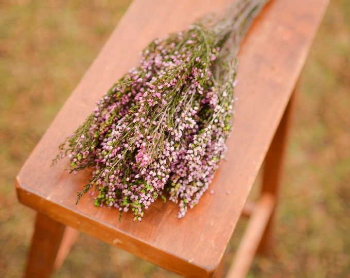 Bunch of Preserved Pink Heather, Pink Heather, Pink Wedding Flowers ...