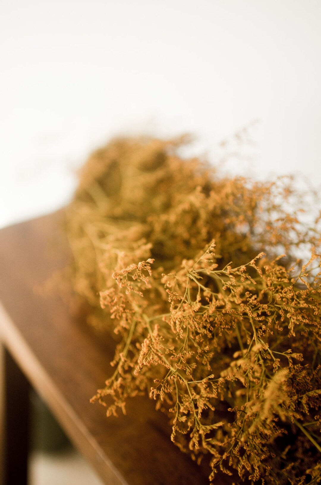 Bunch of Preserved Gold Misty, Gold Caspia, Mustard Yellow Misty, Fall ...