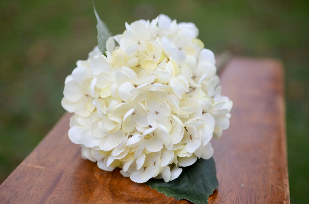 Cream Silk Hydrangea, Cream Hydrangea, Silk Hydrangeas, Artificial ...