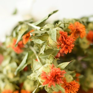 Bunch of Safflower, Dried Safflower, Orange Dried Decor, Orange Flowers ...