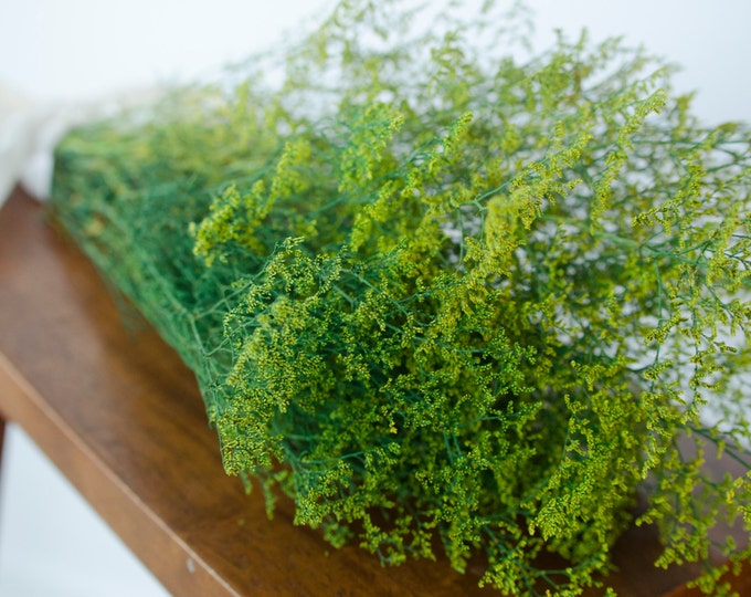 Bunch of Preserved Yellow Green Misty, Yellow Green Caspia, Yellow ...