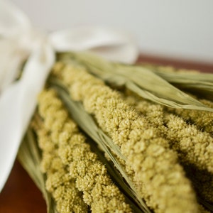 Dried Limelight Millet Bunch Dried Millet Dried Grains | Etsy