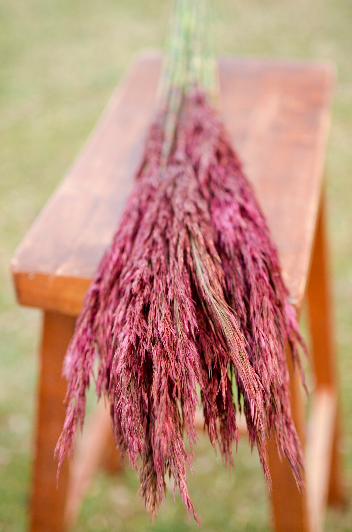 Preserved Merlot Plume Reed Preserved Red Grass Preserved - Etsy