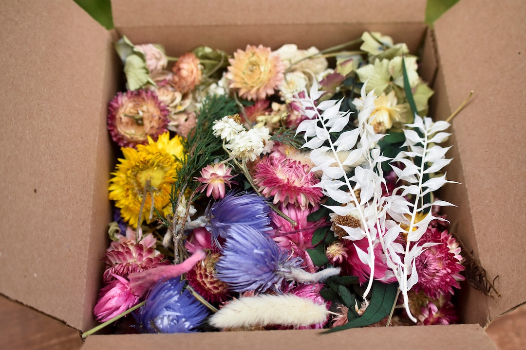 Craft Box of Mixed Dried Flowers, Assorted Dried Flowers, Do It ...