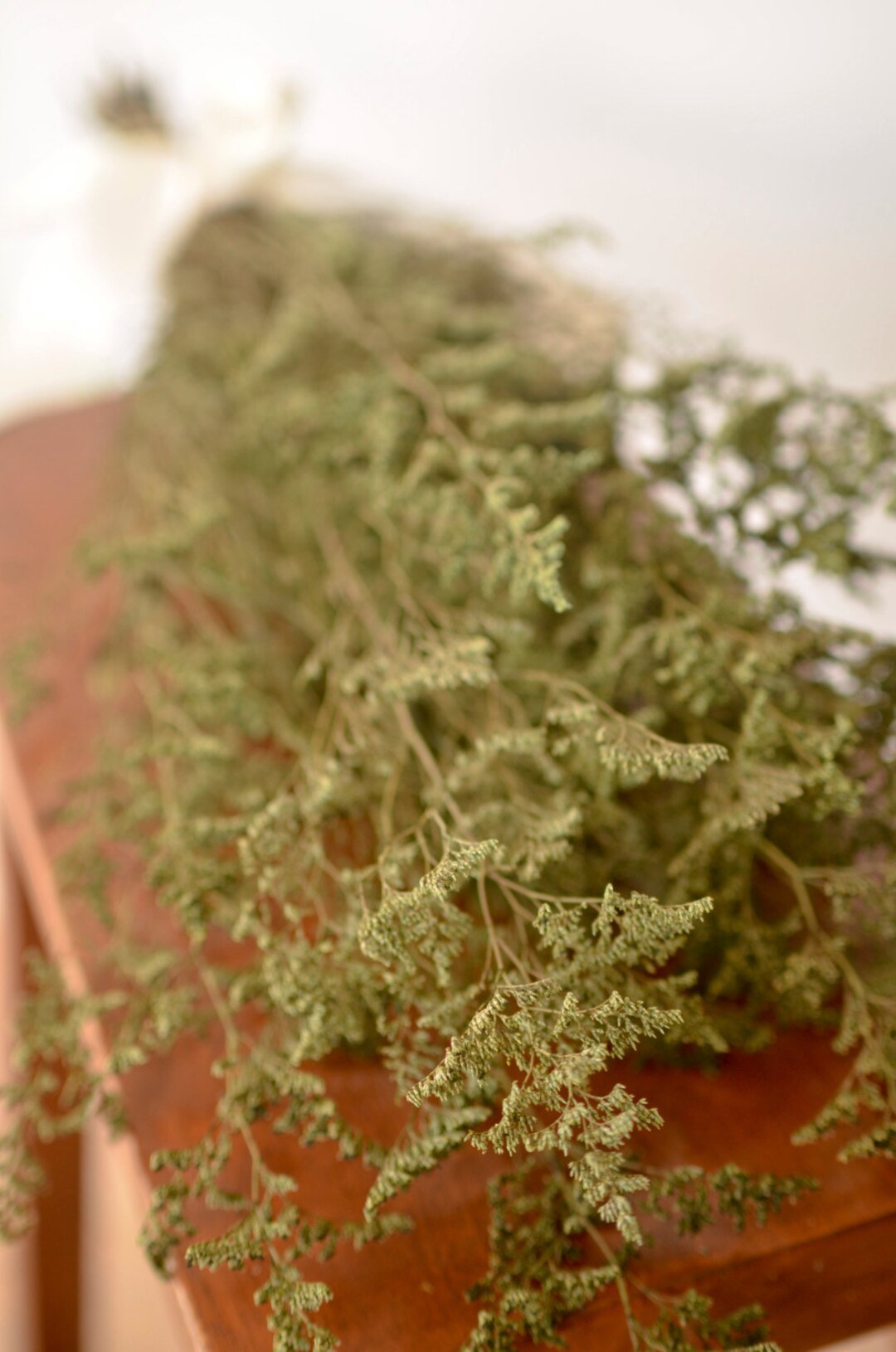 Bunch of Preserved Olive Green Misty, Green Caspia, Green Wedding ...