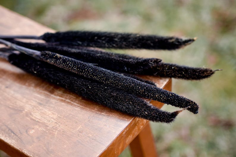 Dried Purple Majesty Millet: Fall Floral Arrangement (26-28" Long) - Etsy