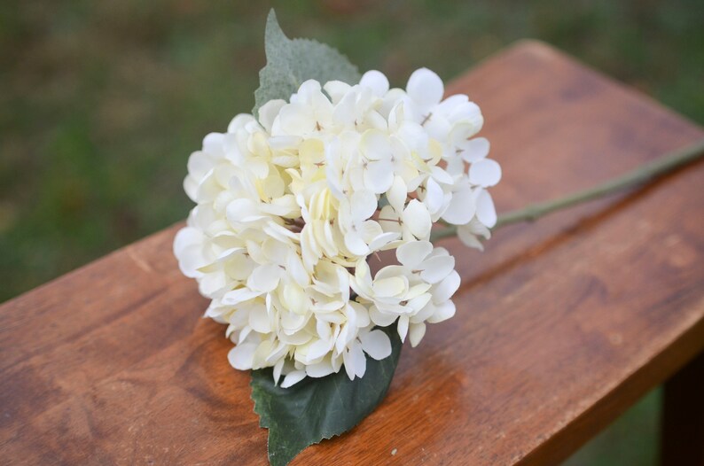 Cream Silk Hydrangea Cream Hydrangea Silk Hydrangeas - Etsy