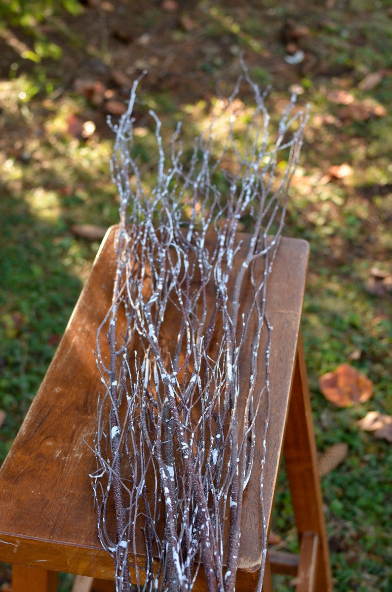 Birch Branches Woody Stems Birch Bundles Twigs Twig Bunch - Etsy