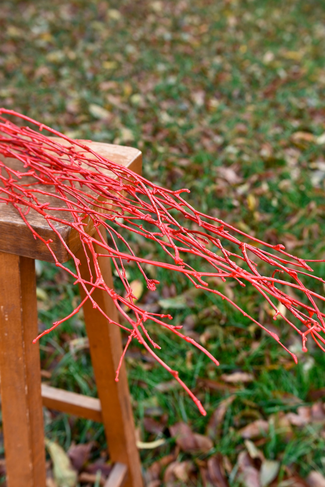 Red Painted Birch Branches: Holiday Decoration Stems - Etsy