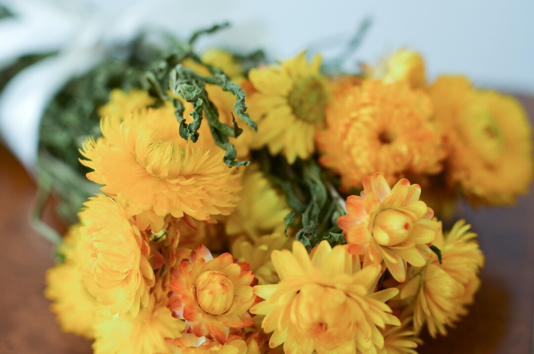 Bunch of Yellow Strawflowers, Dried Strawflowers, Yellow Dried Decor ...