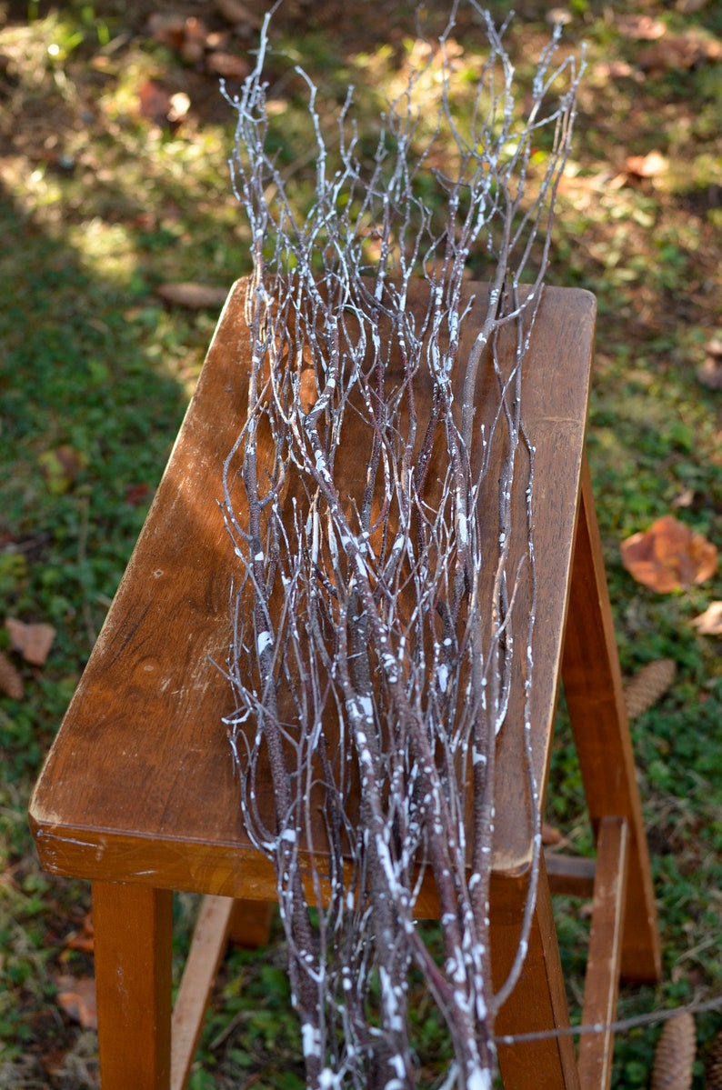 Birch Branches Woody Stems Birch Bundles Twigs Twig Bunch - Etsy