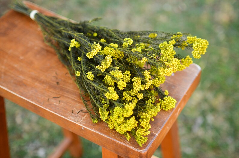Preserved yellow rice flower yellow flowers for bouquets | Etsy