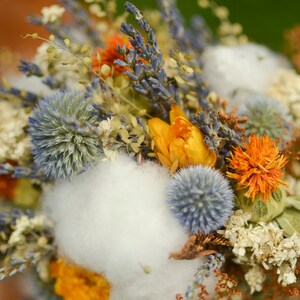Dried Pepper Grass, Lepidium, Dried Grass, Grass Bunch, Green Grains ...