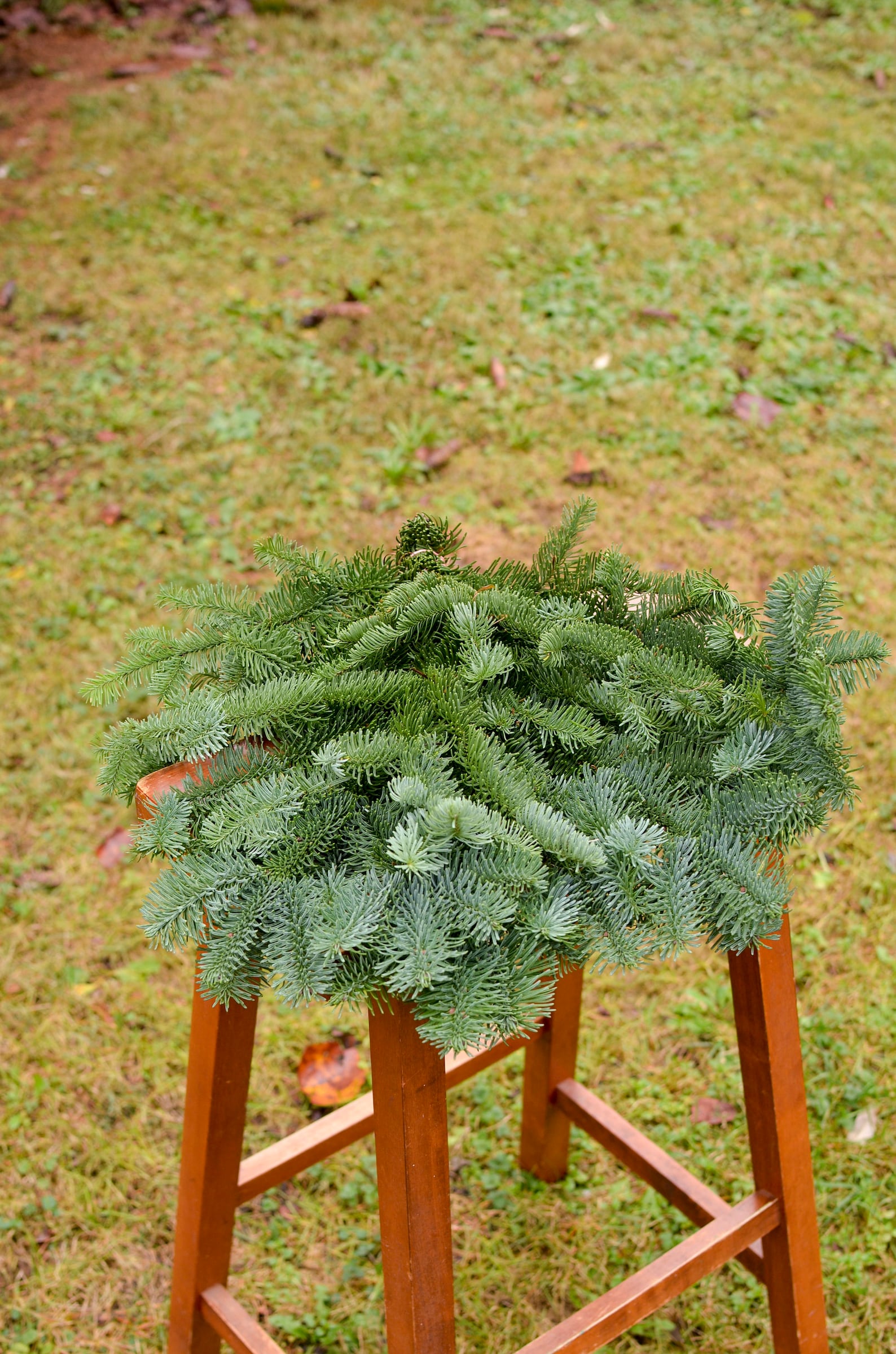 Fresh Noble Greenery Bundles | PRE-ORDER Now for Holiday Shipping ...