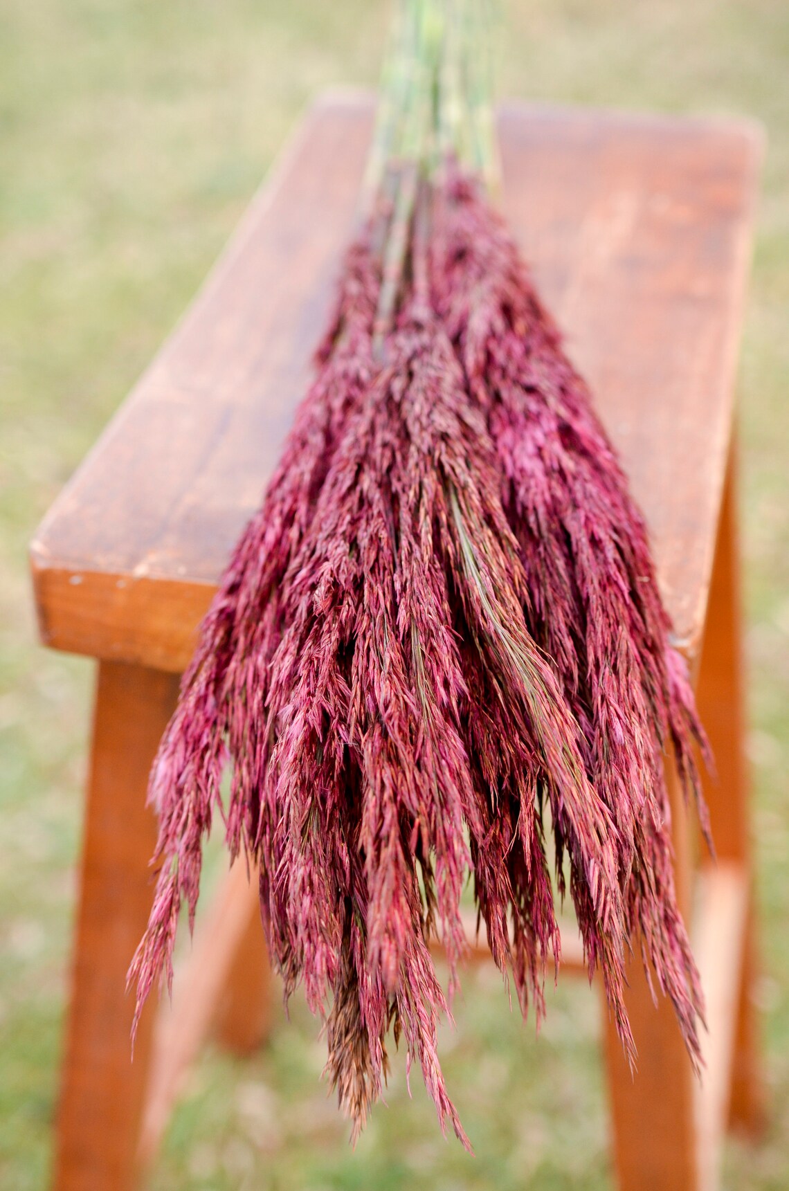 Preserved Merlot Plume Reed Preserved Red Grass Preserved - Etsy