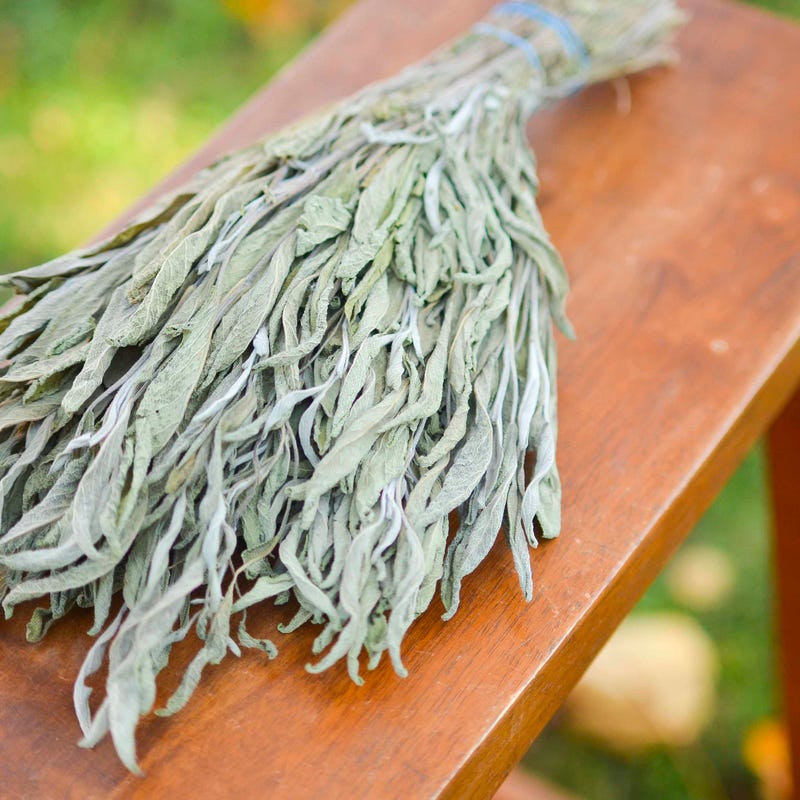 Sage - Etsy