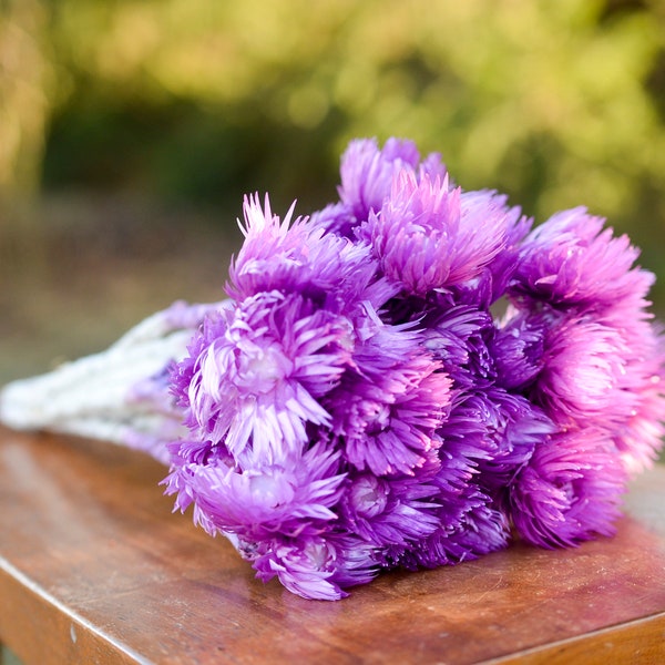 Purple Dried Flower - Etsy