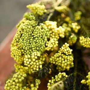 Preserved Yellow Rice Flower, Yellow Flowers for Bouquets, Yellow ...