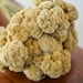 Dried Buff Cockscomb, Yellow/cream Cockscomb, Cream Flowers, Ivory ...