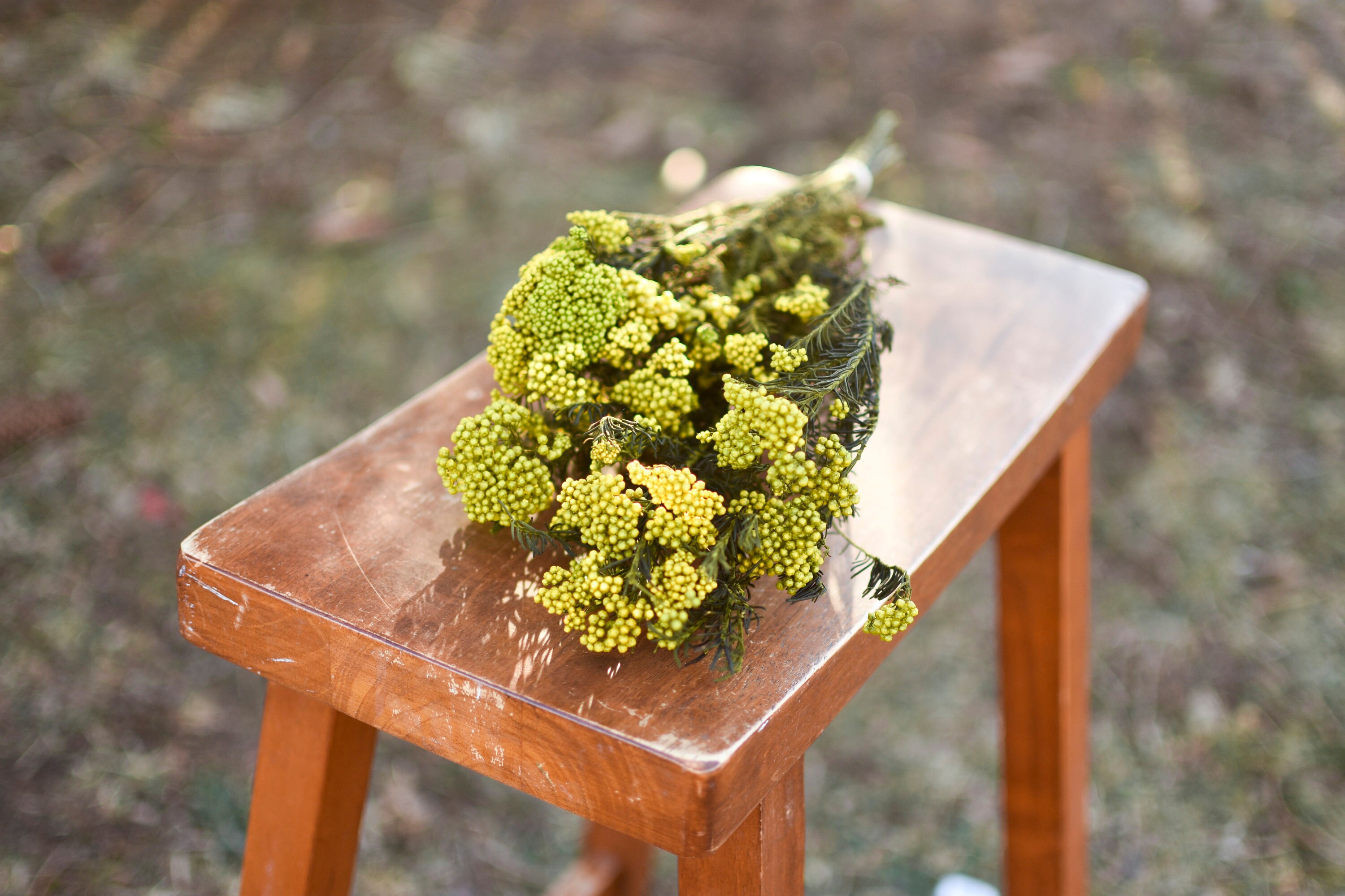 Preserved Yellow Rice Flower Yellow Flowers for Bouquets - Etsy