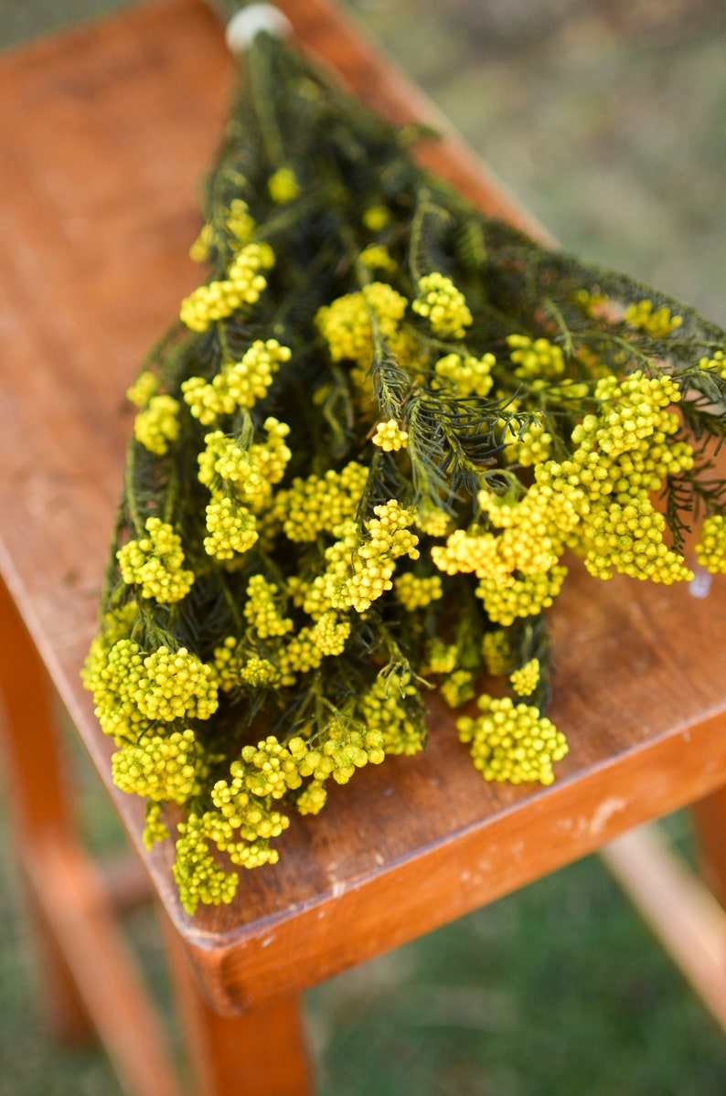Preserved yellow rice flower yellow flowers for bouquets | Etsy