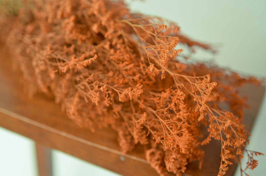 Preserved Orange Misty Caspia: Fall Wedding Decor - Etsy