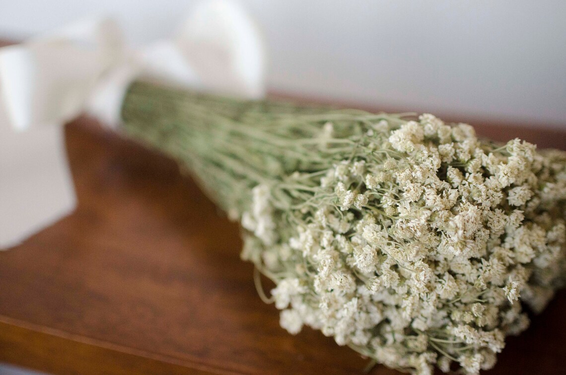 Dried Pearl Yarrow double Baby's Breath | Etsy