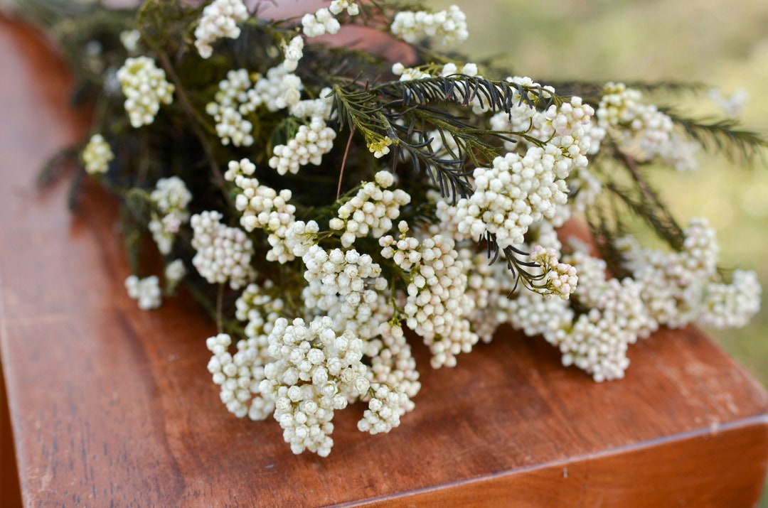 Preserved White Rice Flower, White Flowers, Wedding Flowers, Filler ...