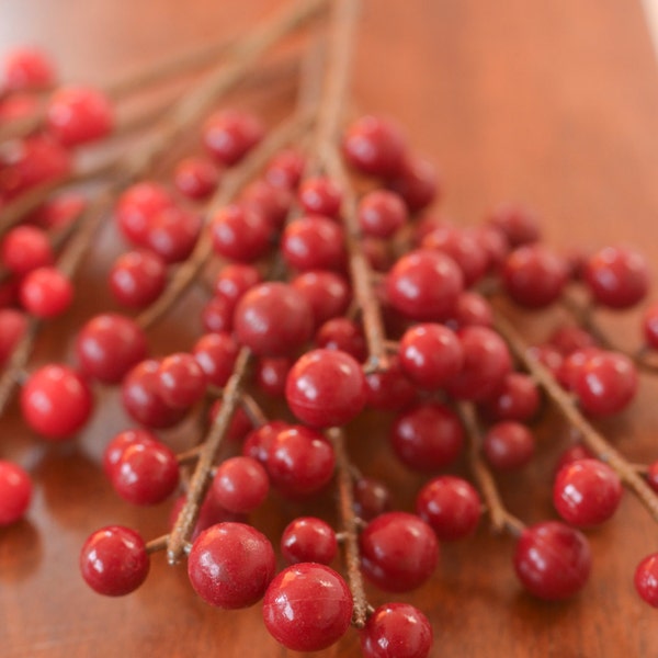 Christmas Berries - Etsy