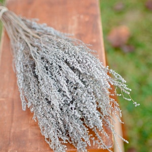 Preserved Silver Gray Stoebe Bunch: Wedding Bouquet Filler - Etsy