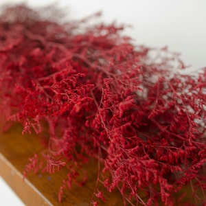 Bunch of Preserved Red Misty, Red Caspia, Red Wedding, Fall Wedding ...