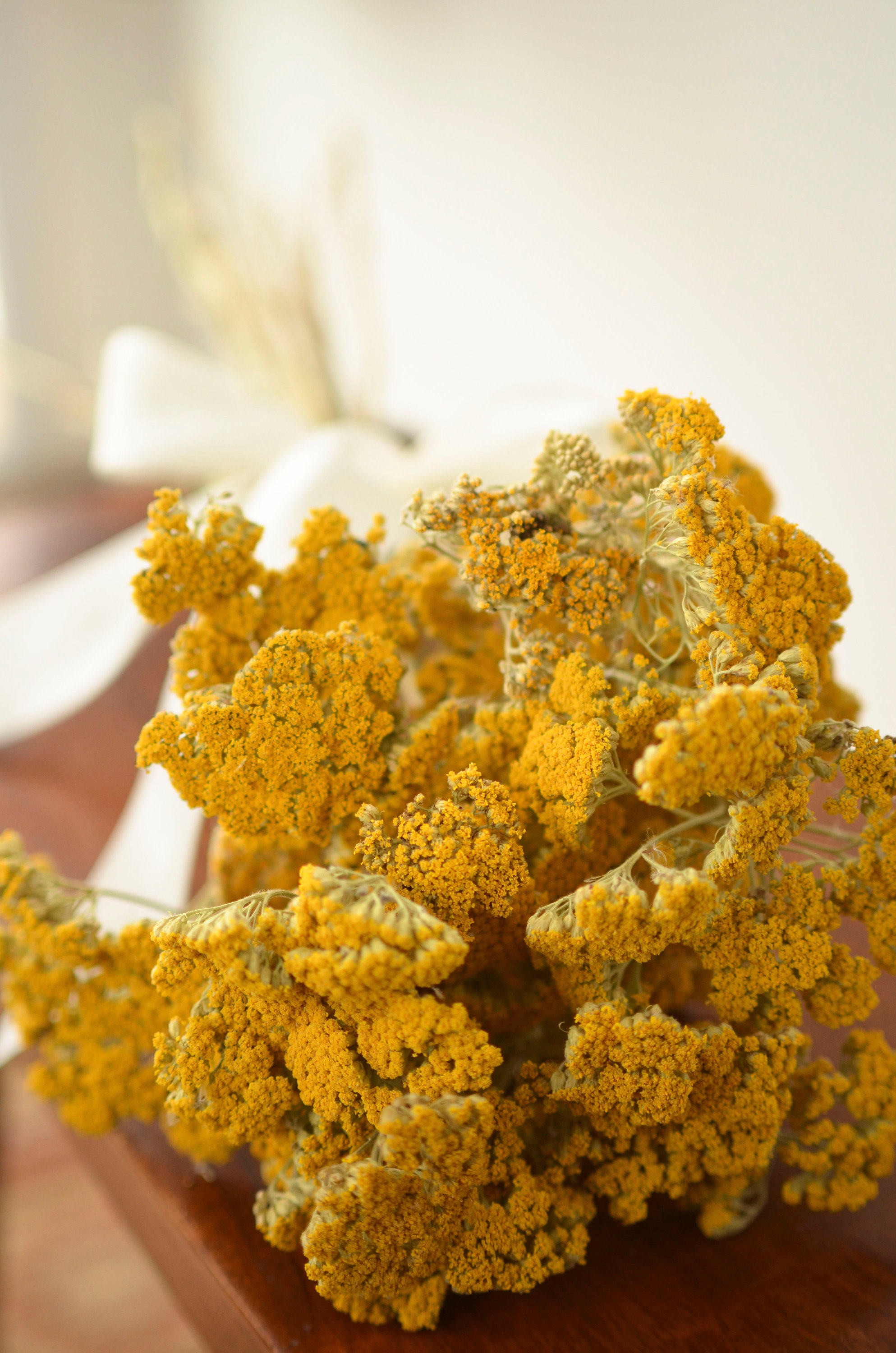 Dried Yarrow Bunch Dried Yarrow Golden Flowers Gold - Etsy